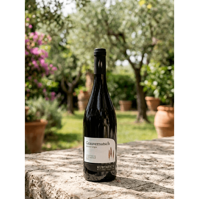 Schiava Grigia DOC 2024 | Vinho Tinto Kurtatsch | Italy Import