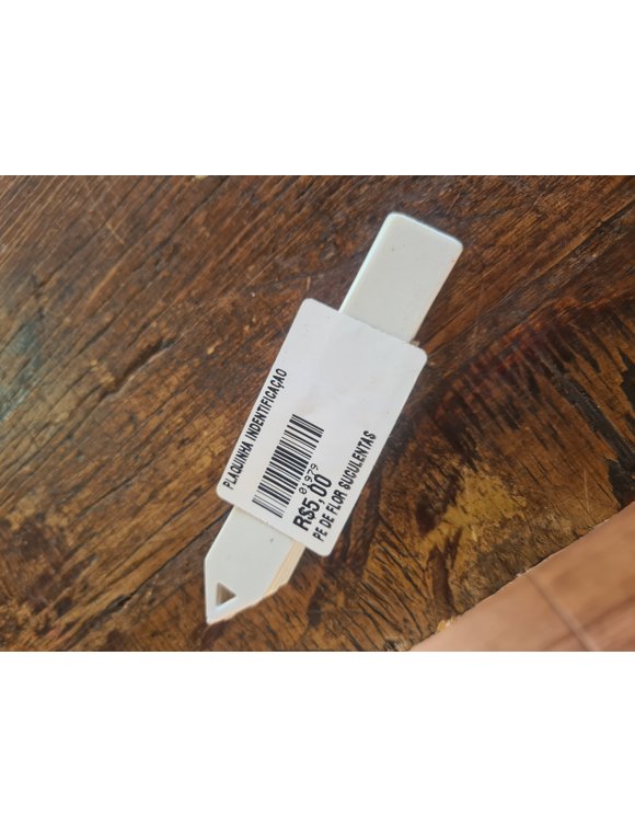 Plaquinhas de identificação | Pé de Flor Suculentas