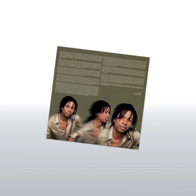 LP Vinil Djavan - Bicho Solto o XIII (LP Duplo/ inil Verde 180g ...