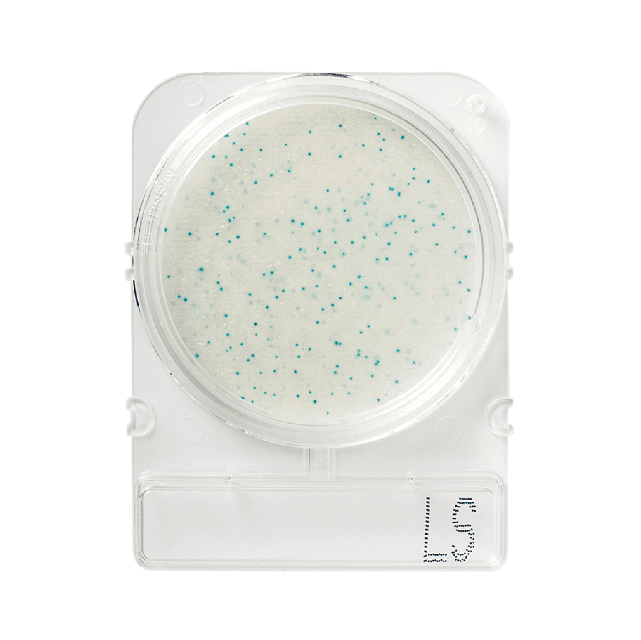 Compact Dry Listeria spp LS - 100 testes | Reagentes Químicos ...