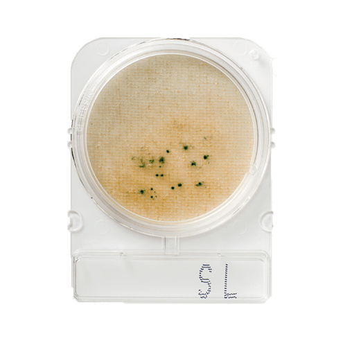Compact Dry | Reagentes Químicos | Produtos para Laboratório | ACS ...