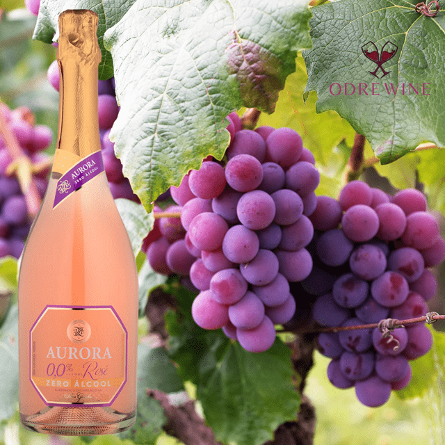 KIT 2 ESPUMANTE MOSCATEL AURORA SEM ÁLCOOL 750 ML | Odre Wine