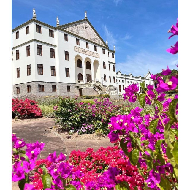 Kit 6 Vodka Vorus Red Berries Salton 1L | Odre Wine