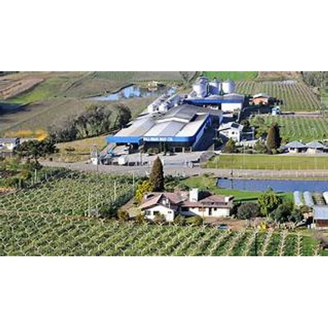 Espumante Prosecco Monte Paschoal 750 ml | Odre Wine