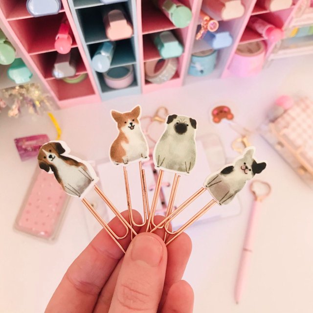 Kit 4 Éclips Catioros Fofíneos | Buendía | Lilápis Papelaria