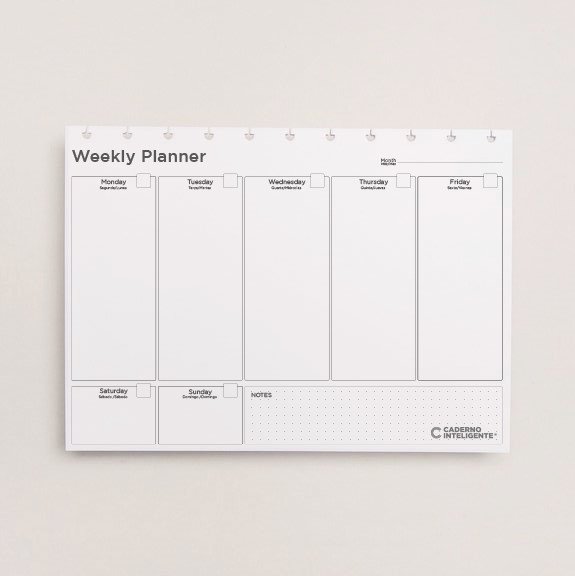 Refil CADERNO INTELIGENTE Grande Planner Semanal 120g | Donadane ...