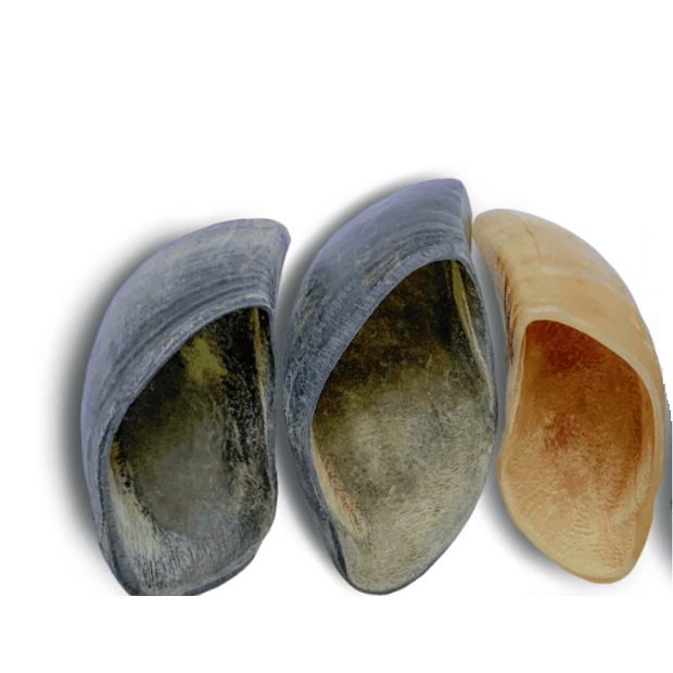 Kit 3 Cascos Bovinos G LUV | Three Pets