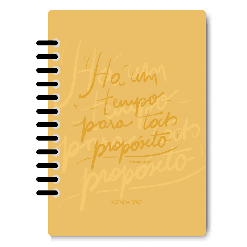 Agenda de Disco Master 2025 17cmx23cm - Há tempo para tudo | Lunar ...