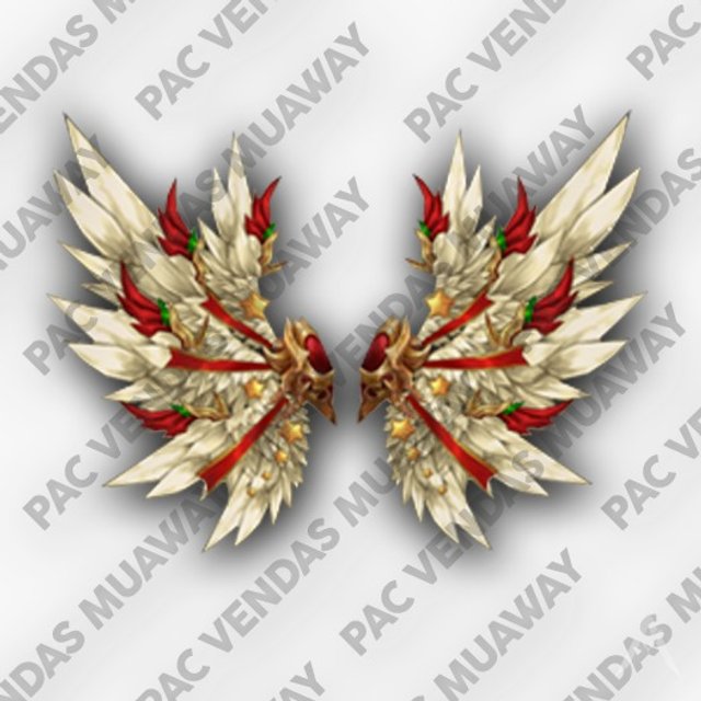 SET C. WARRIOR + KIT SW C. WARRIOR + ASA C.WARRIOR + KIT ANÉIS C ...