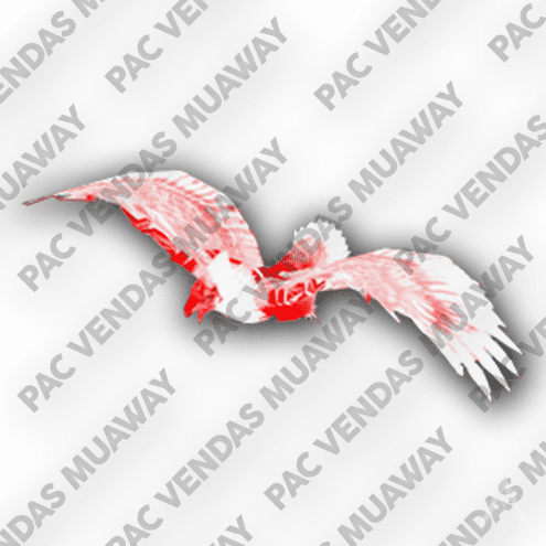 DARK RAVEN | PAC VENDAS MuAwaY