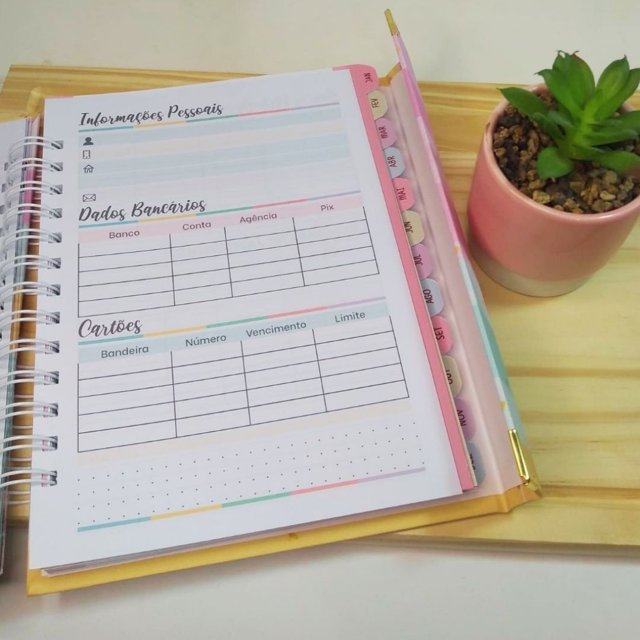 Planner Financeiro Personalizado - Cores | Vida e Arte Personalizados