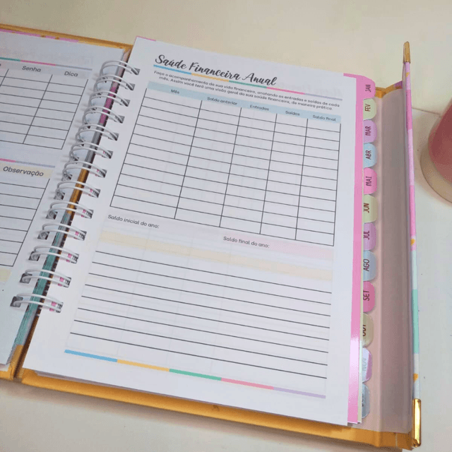 Planner Financeiro Personalizado - Cores | Vida e Arte Personalizados