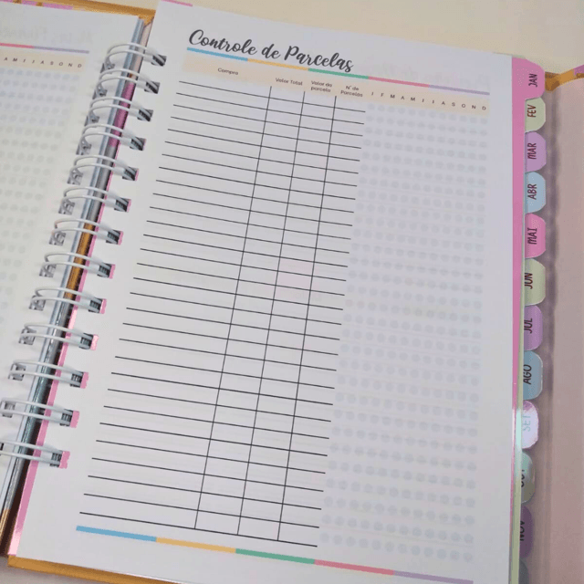 Planner Financeiro Personalizado - Cores | Vida e Arte Personalizados