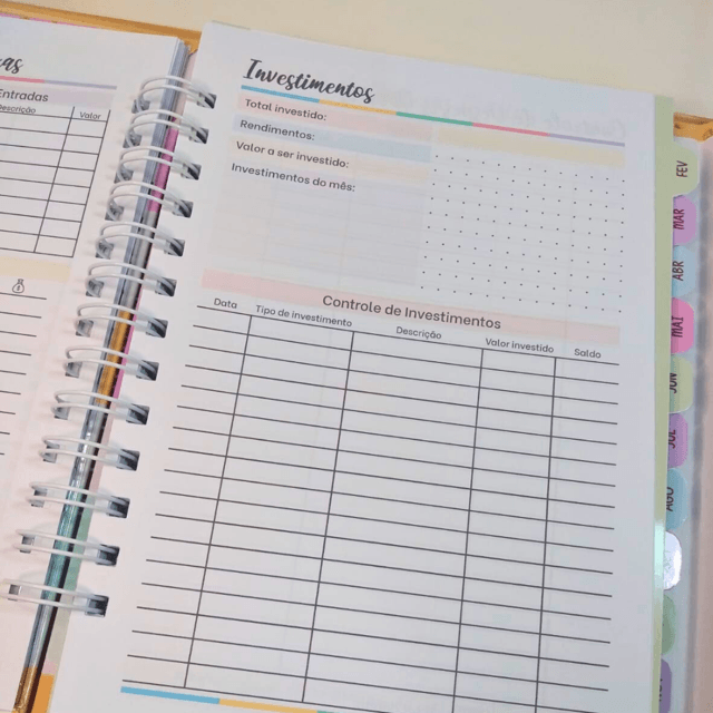 Planner Financeiro Personalizado - Cores | Vida e Arte Personalizados
