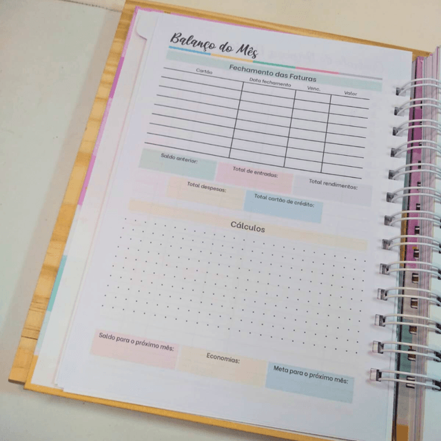 Planner Financeiro Personalizado - Cores | Vida e Arte Personalizados
