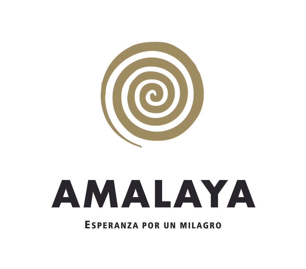 Vinho Amalaya Malbec 750 ml | Vino Verace