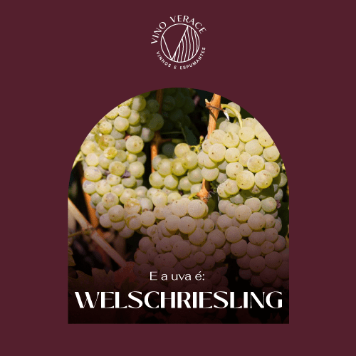 Conheça a Uva Welschriesling, mais conhecida por Riesling Itálico ...