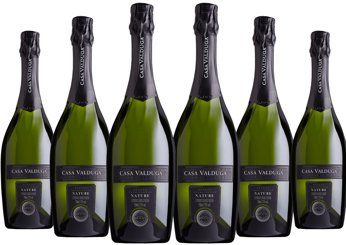 Caixa de Espumante Casa Valduga Premivm Nature com 6 garrafas | Vino Verace