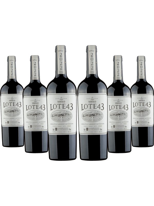 Caixa de Vinho Miolo Lote 43 D.O.V.V. com 6 garrafas | Vino Verace