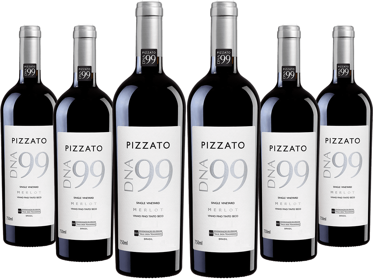 Caixa de Vinho Pizzato DNA 99 Single Vineyard Merlot D.O.V.V. com 6 ...