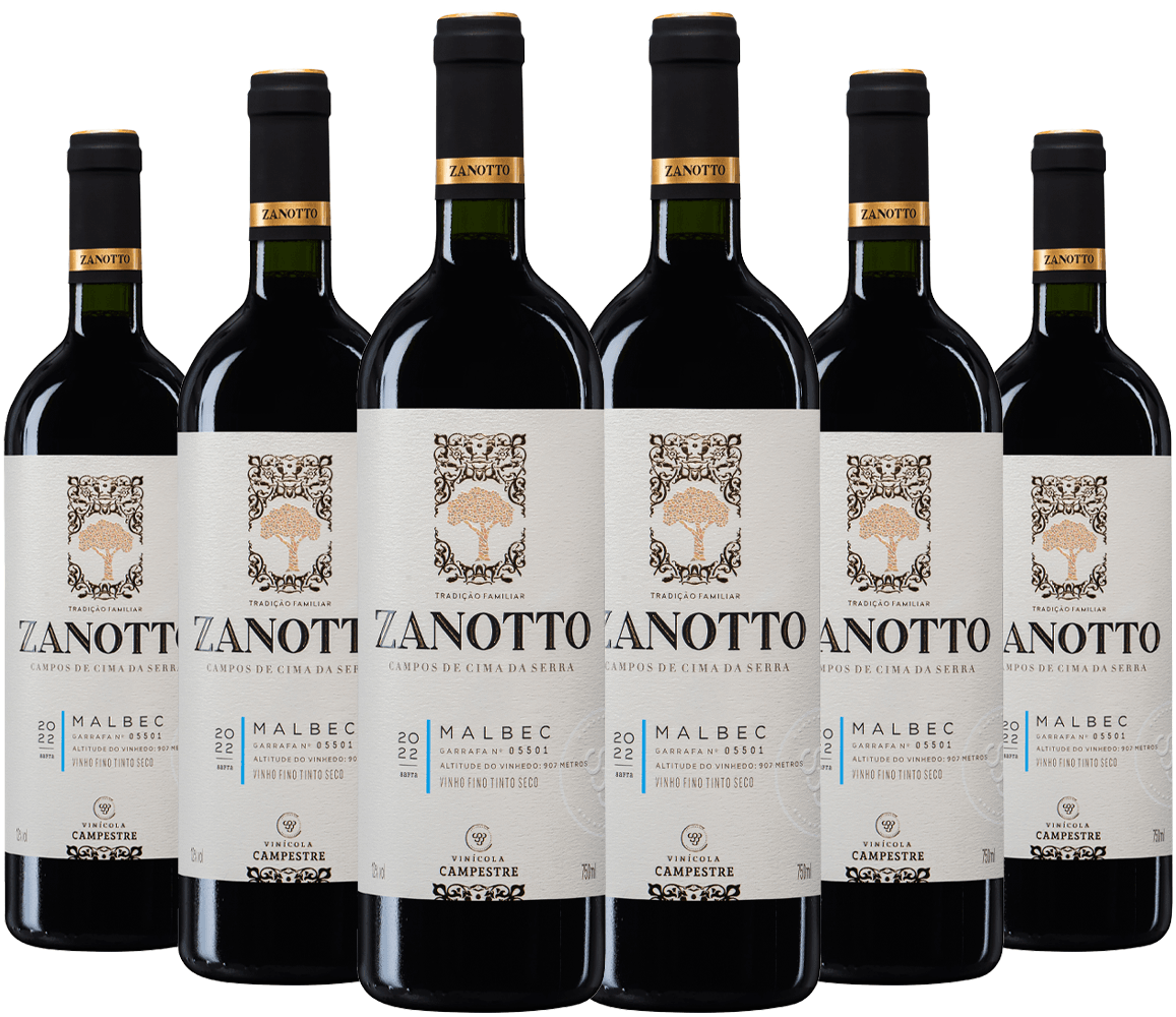 Caixa de Vinho Zanotto Malbec com 6 garrafas | Vino Verace