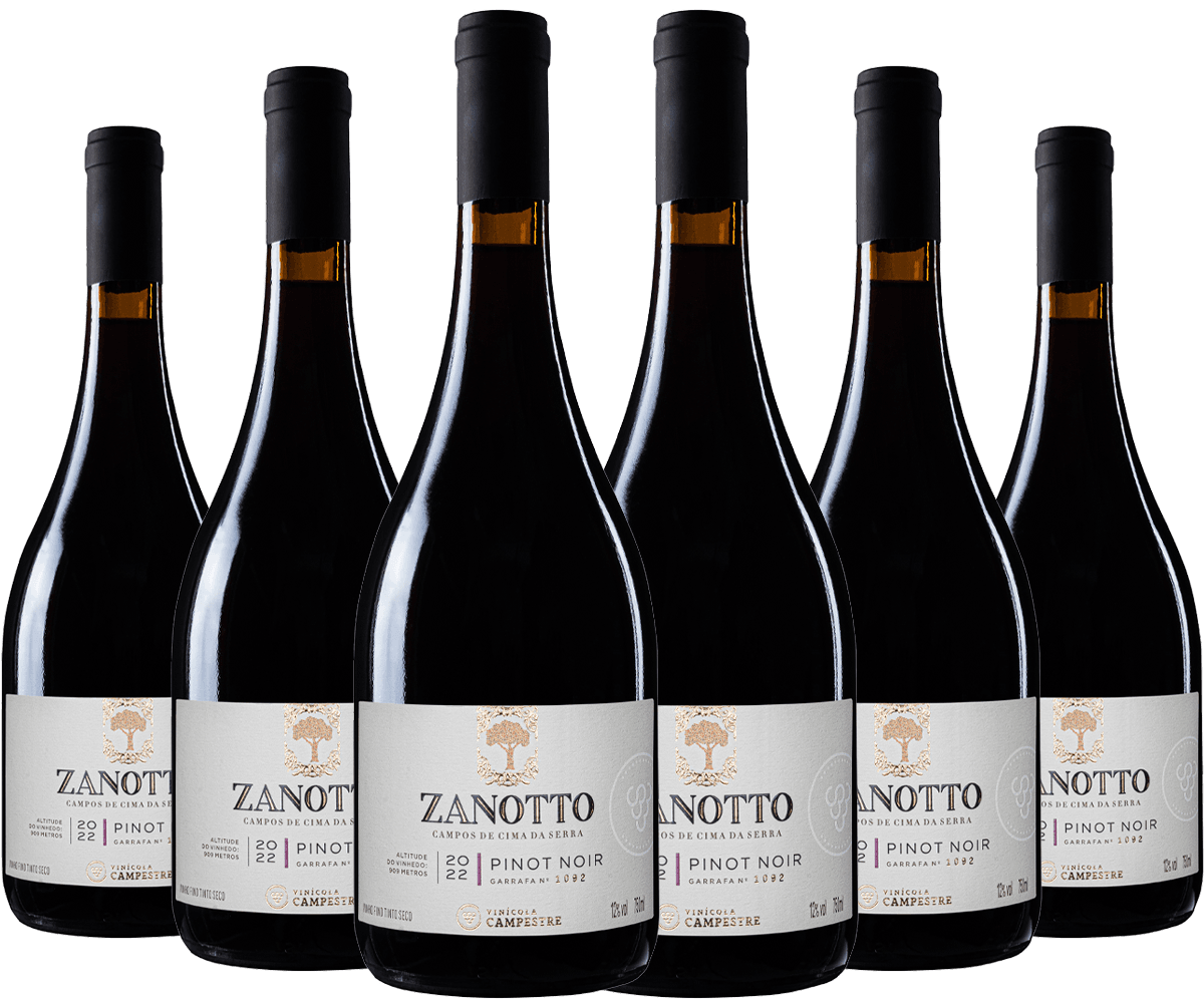Caixa de Vinho Zanotto Pinot Noir com 6 garrafas | Vino Verace