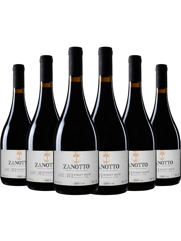 Caixa de Vinho Zanotto Pinot Noir com 6 garrafas | Vino Verace
