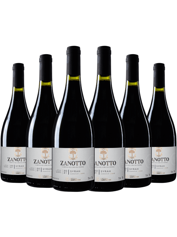 Caixa de Vinho Zanotto Syrah com 6 garrafas | Vino Verace