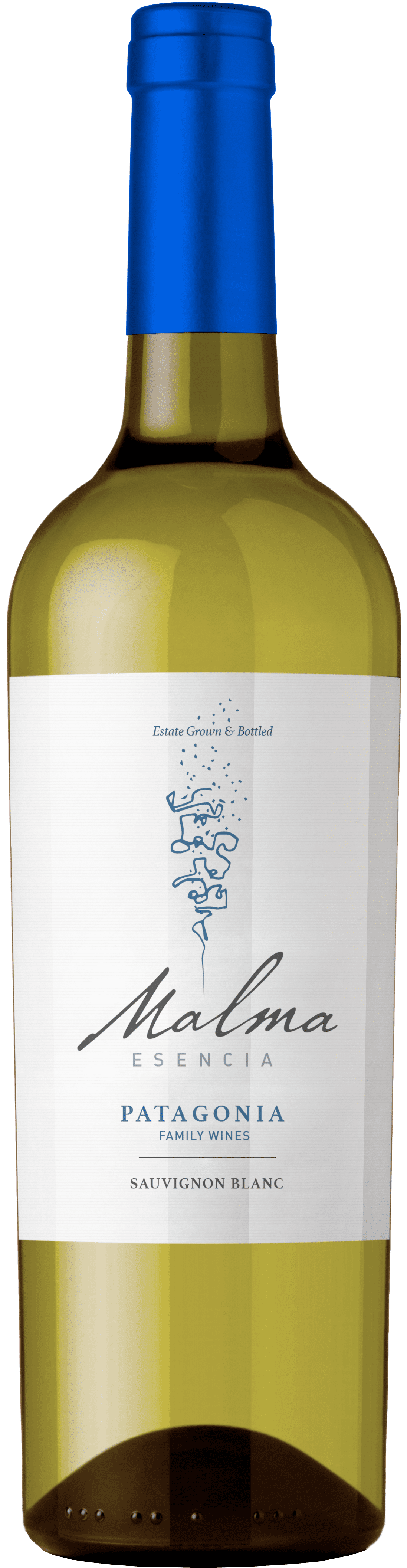 Vinho Bodega Malma Esencia Family Wines Sauvignon Blanc 750 ml | Vino ...