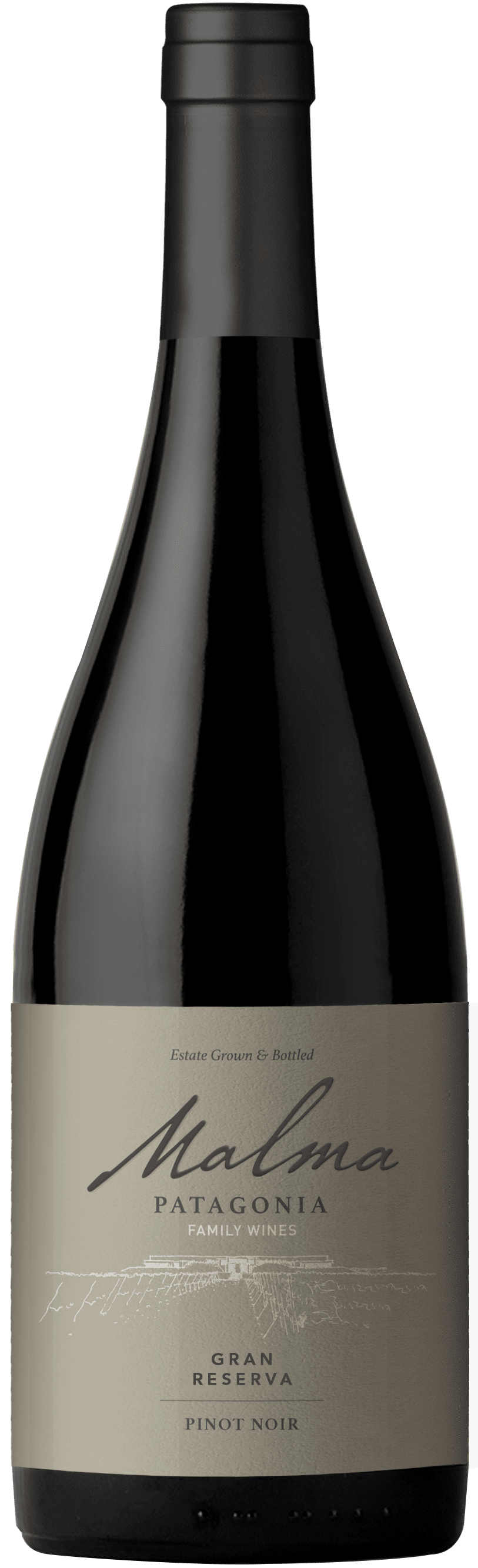 Vinho Bodega Malma Gran Reserva Family Wines Pinot Noir 750 ml | Vino ...