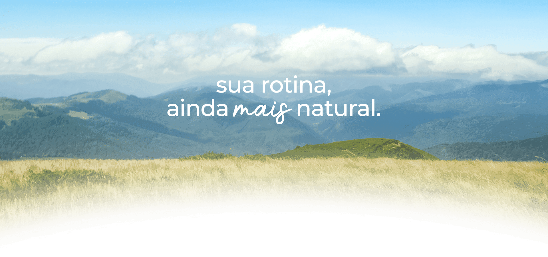 Zolve Labs | Sua rotina, ainda mais natural.
