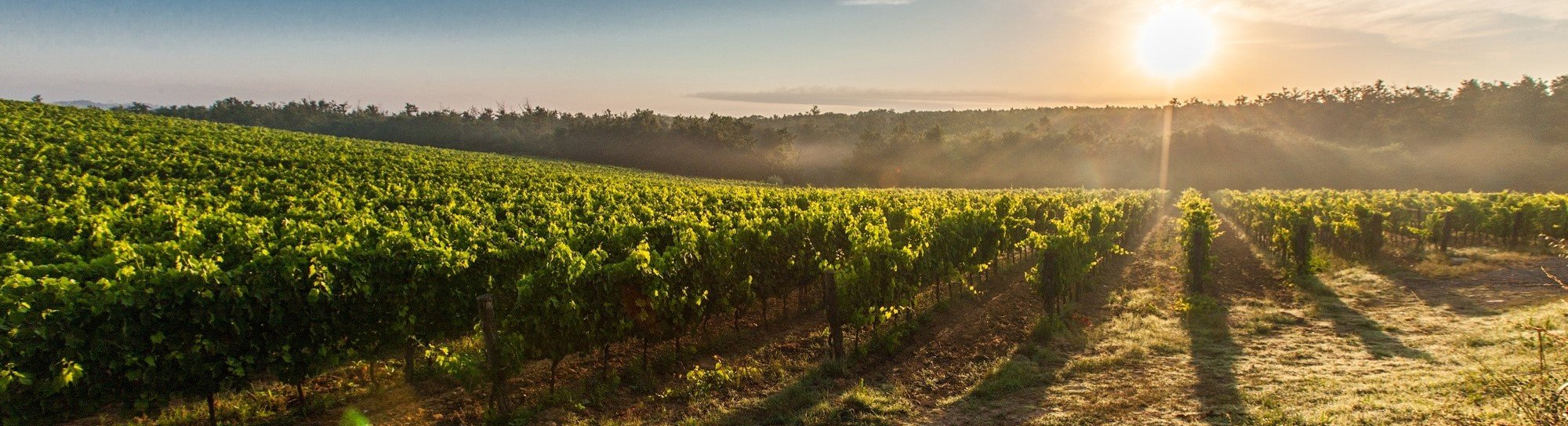 O caminho da valorização do produto nacional | Armazém Nacional