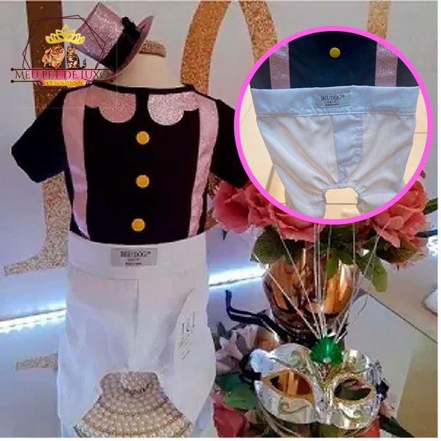 Fantasia Mágico - Dudog Vest | MEU PET DE LUXO