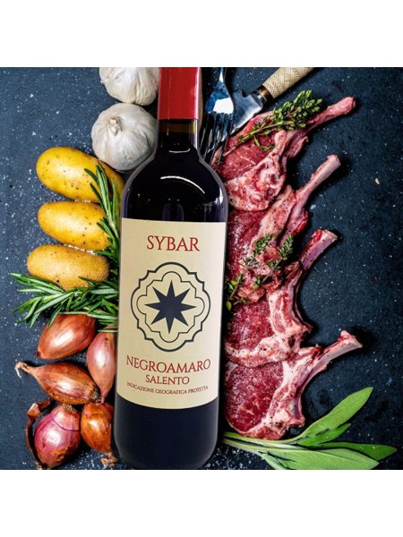 Vinho Sybar Negroamaro Salento IGP 2021 | Vinhologue