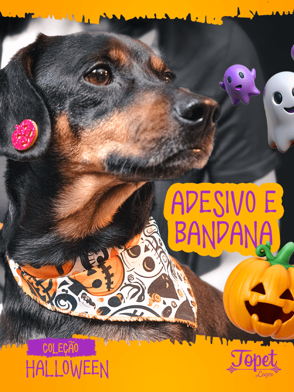 Topet Laços | Seu PetShop mais completo