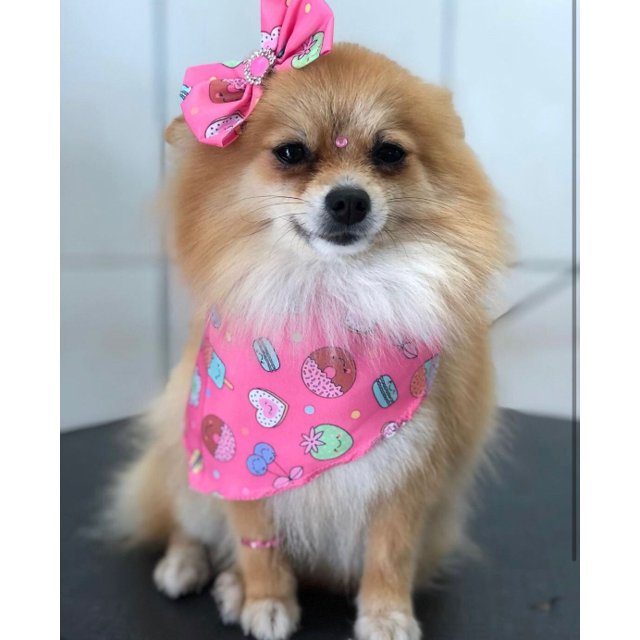 Kit Laço + Bandana Turquesa Floral (2 kits) | Topet Laços