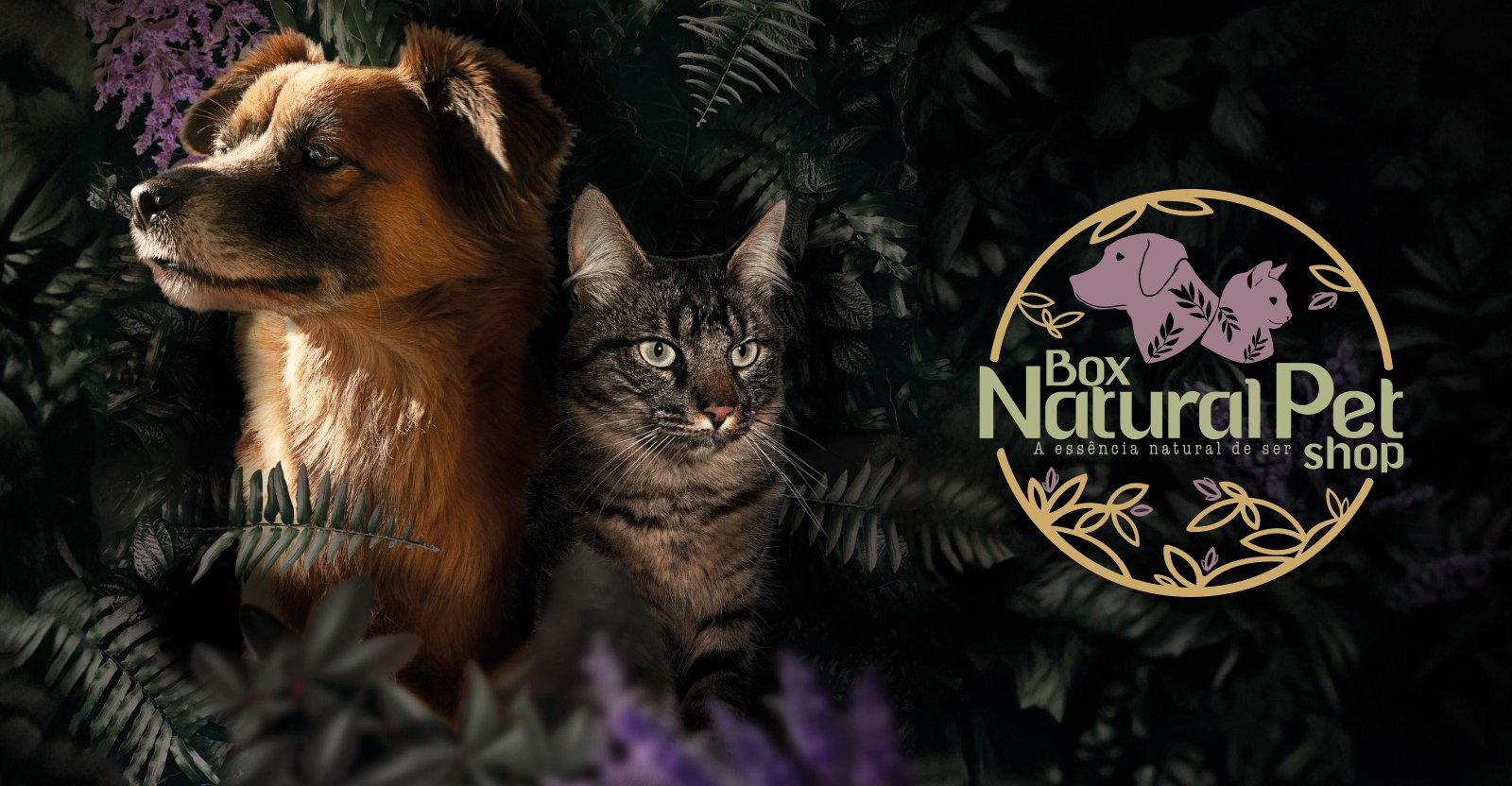 Box Natural Pet | Box Natural Pet