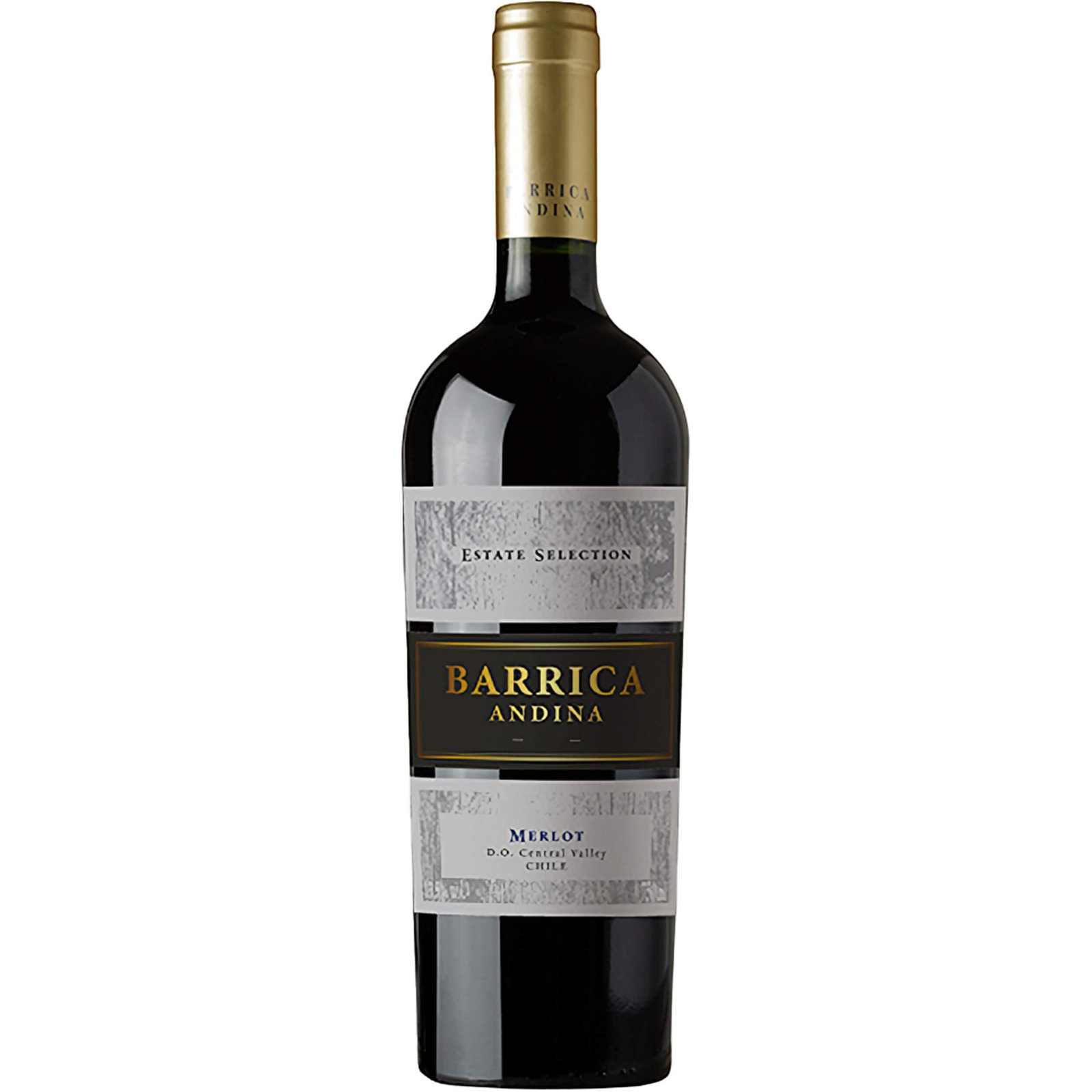 V BARRICA ANDINA MERLOT 750 ML | Compre Vinhos online com descontos ...