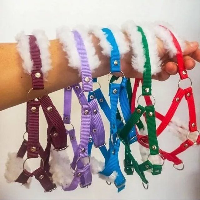 Cabresto Colorado para Hobby Horse | Hobby Horses Brasil