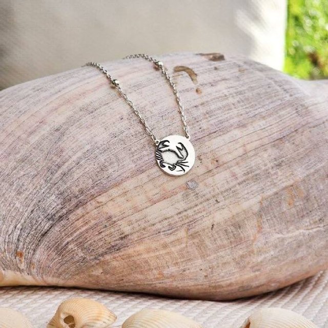 Colar Medalha Caranguejo | LIRIOH JOIAS