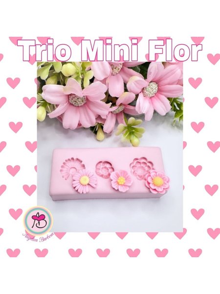 Trio Mini Flor Moldes De Silicone Angélica Barbosa