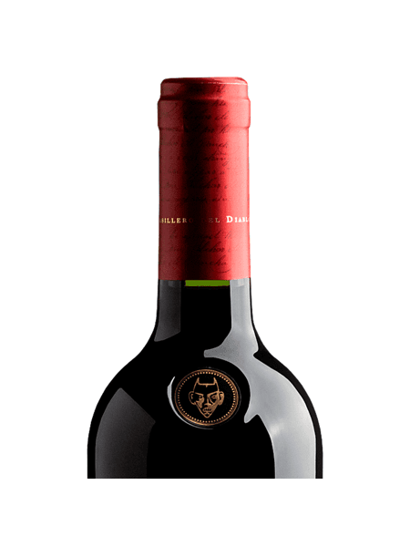 Vinho Casillero Del Diablo Red Blend | WerleComercial