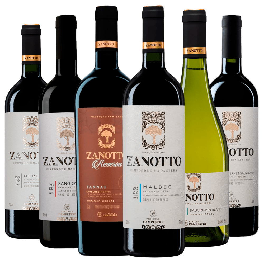 Kit 6 Vinhos Zanotto Exclusivo 750ml | WerleComercial