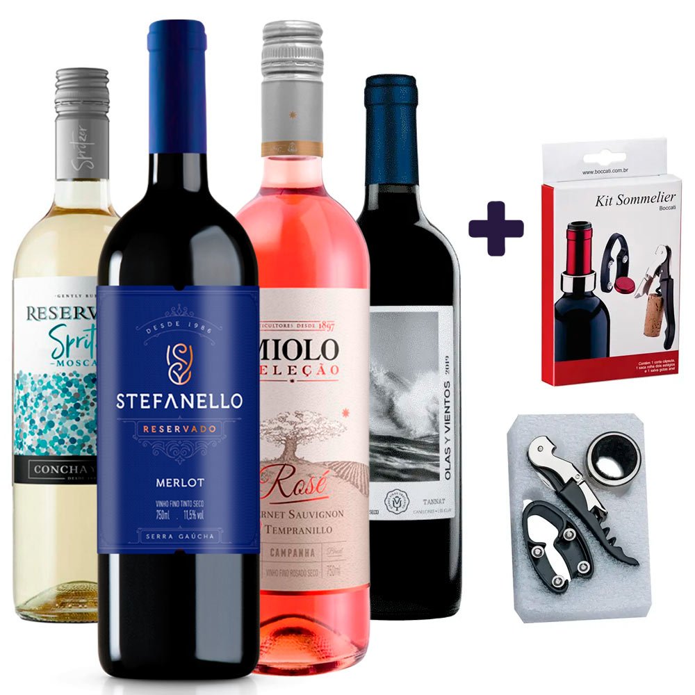 Kit 4 Vinhos Nacionais + 1 Kit Sommelier | WerleComercial