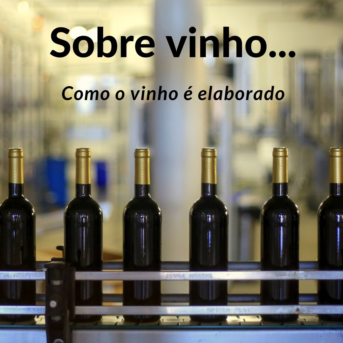 O Fascinante Processo de Elaboração do Vinho | Costi Bebidas