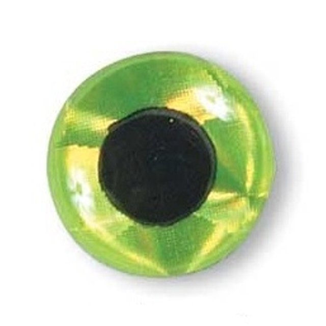 EPOXY EYES HOLOGRAPHIC | WILD FLY SHOP