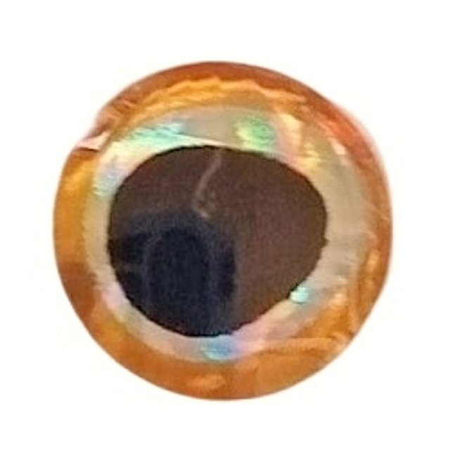 EPOXY EYES REAL | WILD FLY SHOP