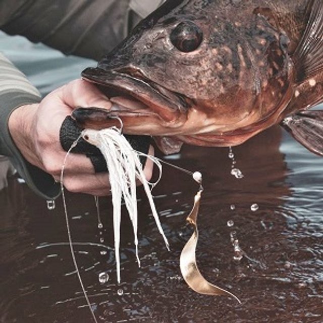 WIGGLE TAILS | WILD FLY SHOP