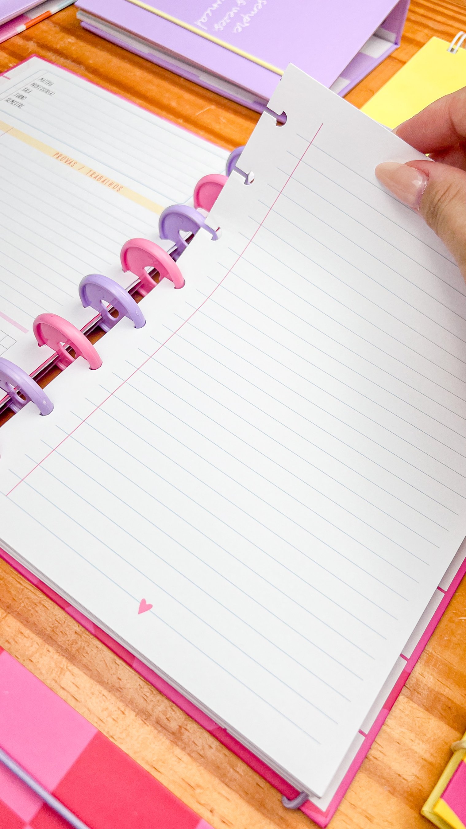 Caderno de Disco | Melissa Campuzano