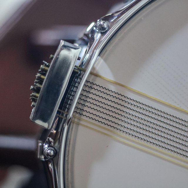 Caixa Ludwig Classic Maple 14x6,5" Concert Rock Blue Cortex Anos 70 ...